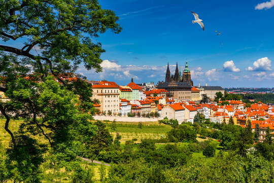 รูปภาพ"Prague View" – เลือกดูภาพถ่ายสต็อก เวกเตอร์ และวิดีโอ184 | Adobe ...