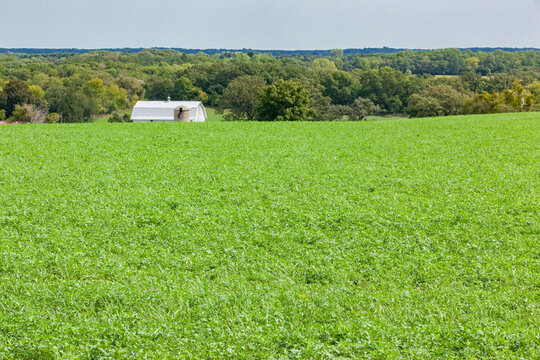 Free Field Images – Browse 22,925 Free Stock Photos, Vectors, and Video ...