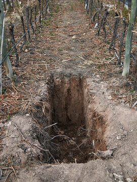 Imágenes de Calicata: descubre bancos de fotos, ilustraciones, vectores ...