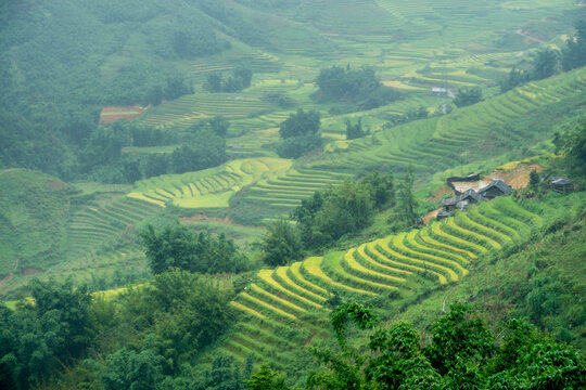 "Sapa Valley" Images – Browse 48 Stock Photos, Vectors, and Video ...