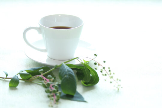 Scoke Bilder – Durchsuchen 2,395 Archivfotos, Vektorgrafiken und Videos ...