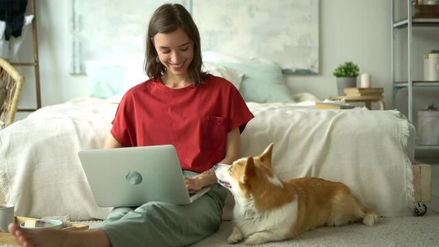 Corgi Computer Images – Browse 634 Stock Photos, Vectors, and Video ...