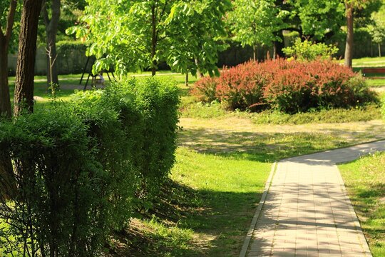 Puzon Images – Browse 10 Stock Photos, Vectors, and Video | Adobe Stock