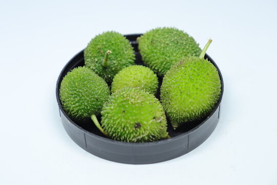 รูปภาพKankada – เลือกดูภาพถ่ายสต็อก เวกเตอร์ และวิดีโอ93 | Adobe Stock