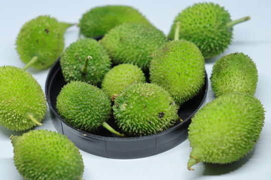 Kankada bilder – Bläddra bland 75 stockfoton, vektorer och videor ...