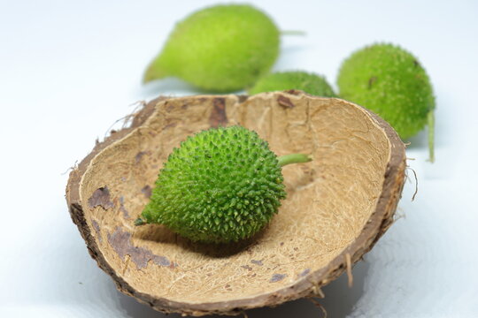 Kankada bilder – Bläddra bland 89 stockfoton, vektorer och videor ...