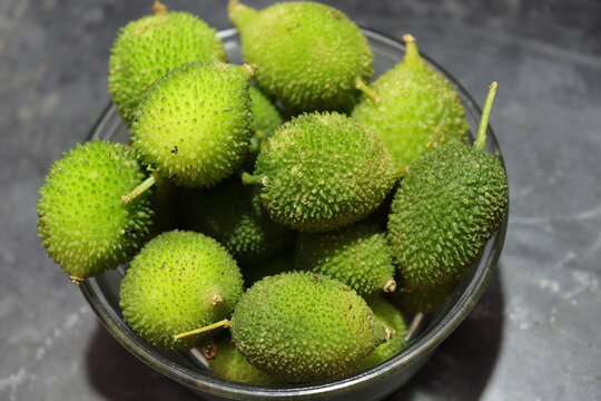 รูปภาพKankada – เลือกดูภาพถ่ายสต็อก เวกเตอร์ และวิดีโอ93 | Adobe Stock