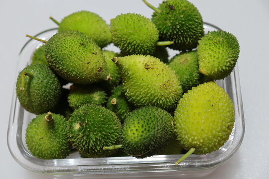 รูปภาพKankada – เลือกดูภาพถ่ายสต็อก เวกเตอร์ และวิดีโอ93 | Adobe Stock