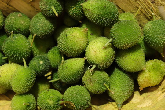 รูปภาพKankada – เลือกดูภาพถ่ายสต็อก เวกเตอร์ และวิดีโอ74 | Adobe Stock