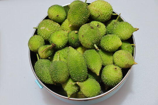 Kankada bilder – Bläddra bland 75 stockfoton, vektorer och videor ...