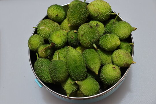 Kankada bilder – Bläddra bland 75 stockfoton, vektorer och videor ...