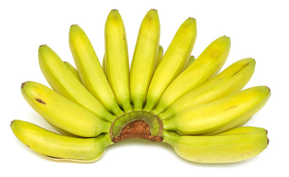 Fraught Images – Browse 411 Stock Photos, Vectors, and Video | Adobe Stock