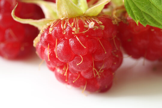 "Blowing Raspberries" Bilder – Durchsuchen 3,043 Archivfotos ...