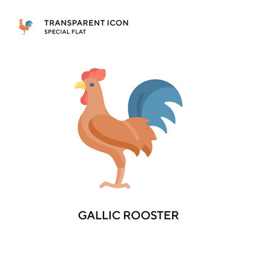 Gallic Rooster Vector
