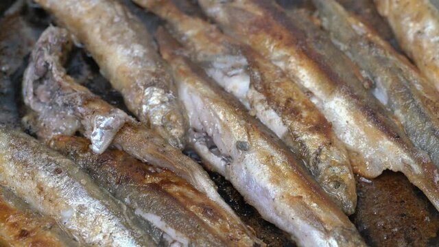 Caplin Images – Browse 8,222 Stock Photos, Vectors, and Video | Adobe Stock