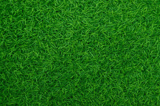 Artificial Grass Background Images – Browse 50,275 Stock Photos ...