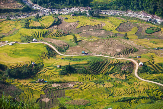 รูปภาพTuling – เลือกดูภาพถ่ายสต็อก เวกเตอร์ และวิดีโอ3,015 | Adobe Stock