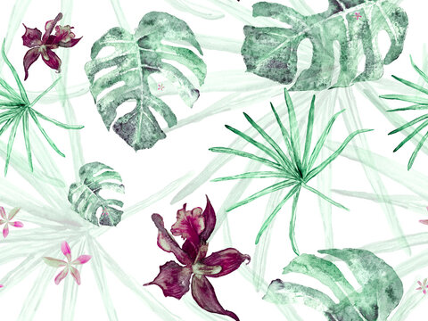 รูปภาพ"Agonis – เลือกดูภาพถ่ายสต็อก เวกเตอร์ และวิดีโอ269 | Adobe Stock