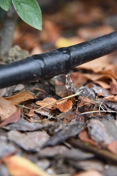 "Water Trickle" Images – Browse 78 Stock Photos, Vectors, and Video ...