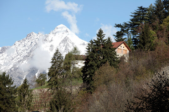 Nei Bilder – Durchsuchen 1,172 Archivfotos, Vektorgrafiken und Videos ...