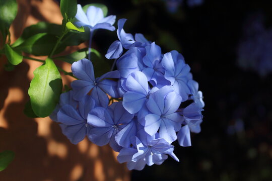 Lilla Bilder – Durchsuchen 6,118 Archivfotos, Vektorgrafiken und Videos ...