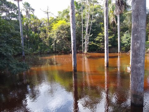 Aguar Images – Browse 33 Stock Photos, Vectors, and Video | Adobe Stock