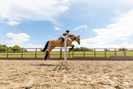 "Horseback Riding"-Bilder: Stock-Fotos & -Videos. | Adobe Stock