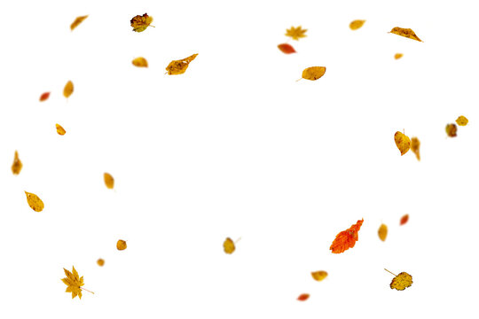 "Falling Leaves" Images – Browse 26,662 Stock Photos, Vectors, and ...