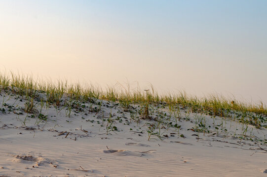 Berma Images – Browse 41 Stock Photos, Vectors, and Video | Adobe Stock