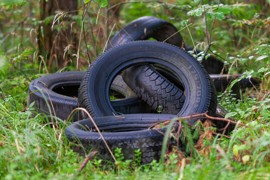 Non-Degradable Bilder – Durchsuchen 526 Archivfotos, Vektorgrafiken und ...