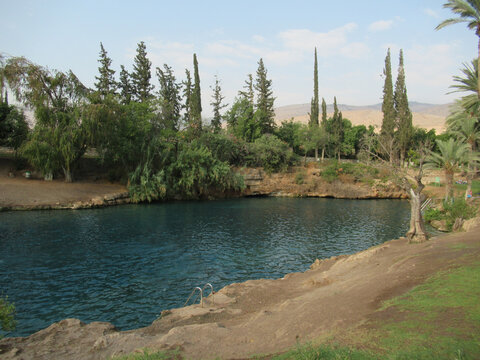 Sachne Images – Browse 37 Stock Photos, Vectors, and Video | Adobe Stock