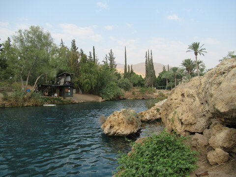 Sachne Images – Browse 36 Stock Photos, Vectors, and Video | Adobe Stock