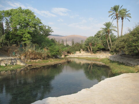 Sachne Images – Browse 37 Stock Photos, Vectors, and Video | Adobe Stock