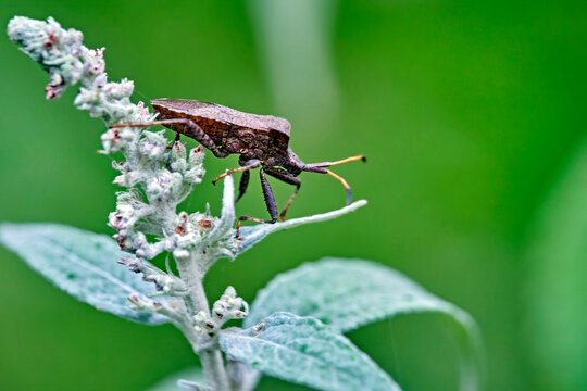 Marg Bilder – Durchsuchen 763 Archivfotos, Vektorgrafiken und Videos ...