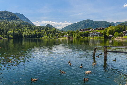 รูปภาพLiezen – เลือกดูภาพถ่ายสต็อก เวกเตอร์ และวิดีโอ847 | Adobe Stock