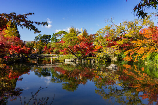 Eikando Images – Browse 1,016 Stock Photos, Vectors, and Video | Adobe ...