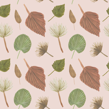 "Fan Leaves" Imagens – Procure 368 fotos, vetores e vídeos | Adobe Stock