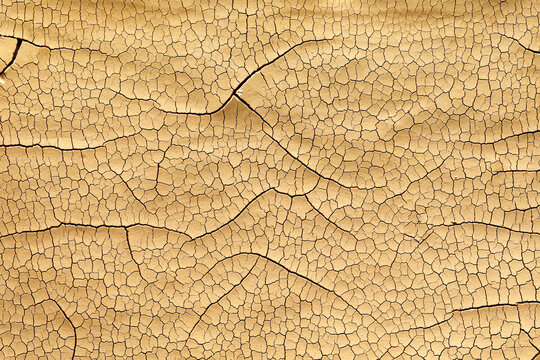 Skin Crack Texture