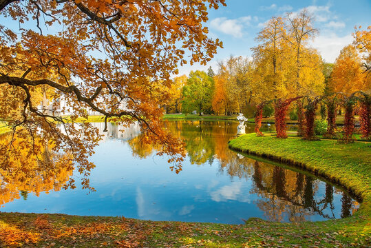 Autumn.moscow Images – Browse 39,462 Stock Photos, Vectors, and Video ...