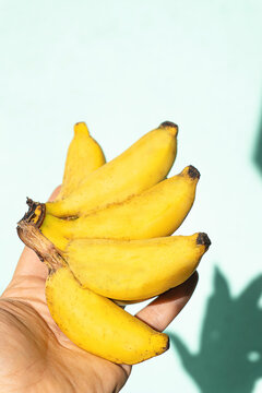 Plantan Images – Browse 58 Stock Photos, Vectors, and Video | Adobe Stock