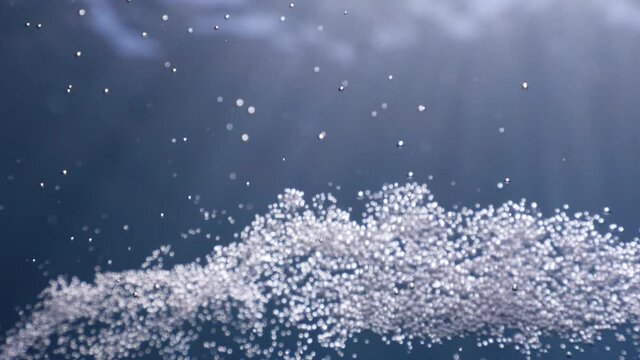 รูปภาพNive – เลือกดูภาพถ่ายสต็อก เวกเตอร์ และวิดีโอ1,961 | Adobe Stock
