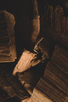 Matorro Images – Browse 6 Stock Photos, Vectors, and Video | Adobe Stock