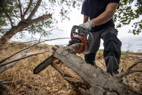 Lumberjacking Imagens – Procure 381,144 fotos, vetores e vídeos | Adobe ...