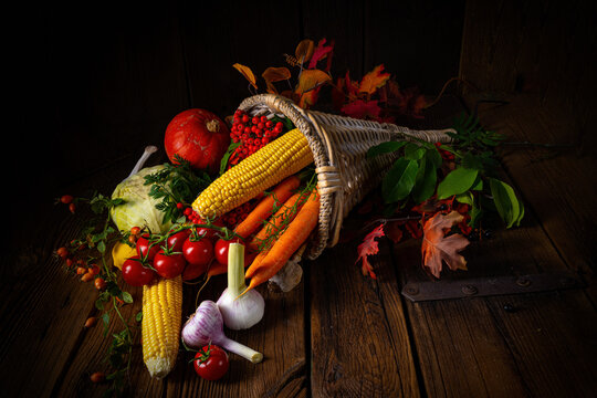 Cornocopia Bilder – Durchsuchen 110 Archivfotos, Vektorgrafiken und ...