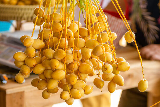 รูปภาพ"Fresh Dates" – เลือกดูภาพถ่ายสต็อก เวกเตอร์ และวิดีโอ224 | Adobe ...
