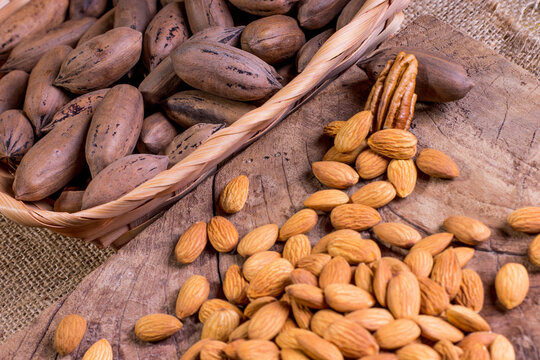 รูปภาพYute – เลือกดูภาพถ่ายสต็อก เวกเตอร์ และวิดีโอ383 | Adobe Stock