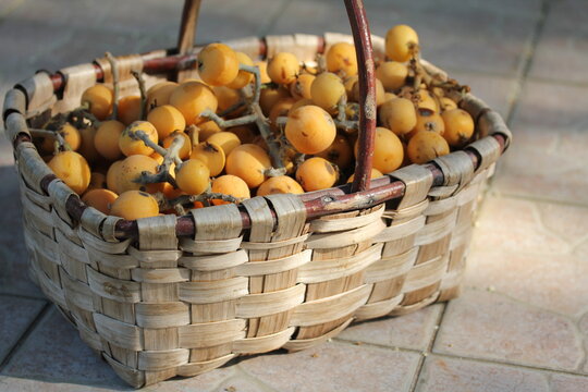 Bibasse - Images et vidéos libres de droits | Adobe Stock