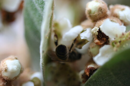 Bibace Images – Parcourir 91 le catalogue de photos, vecteurs et vidéos ...