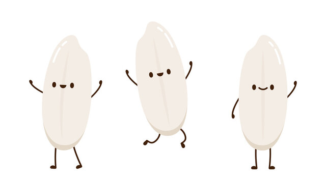 Rice Cartoon 影像 – 瀏覽 39,938 個素材庫相片、向量圖和影片 | Adobe Stock