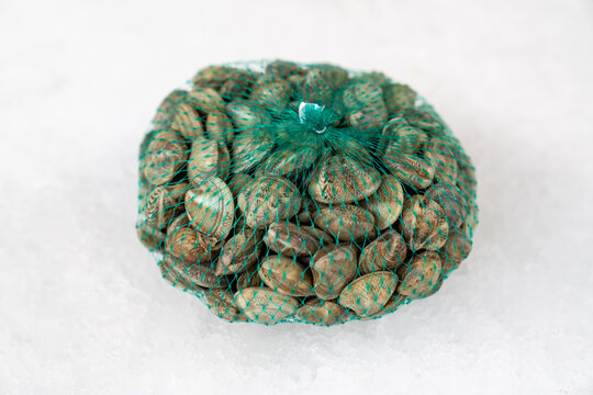 Hard-Shell Images – Browse 1,410 Stock Photos, Vectors, and Video ...